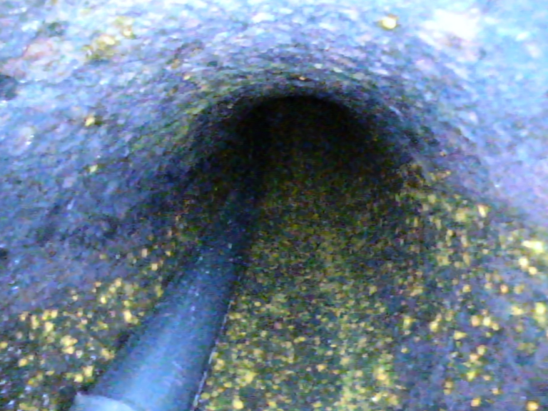 1.0mm Borescope | Small Diameter Videoscope | SPI Borescopes